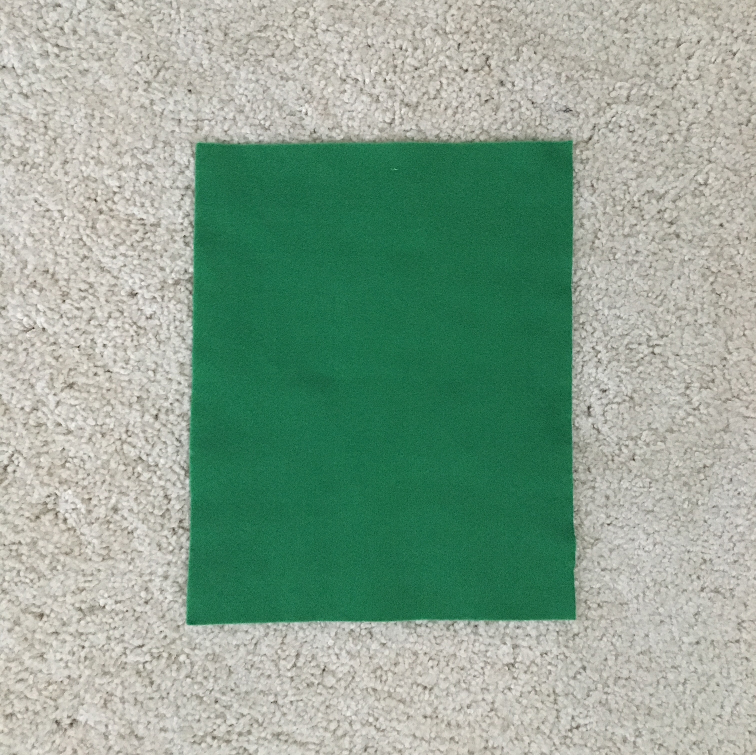 DIY How to make a Peter Pan Hat [no sew and under 5 minutes!] – DriftBound